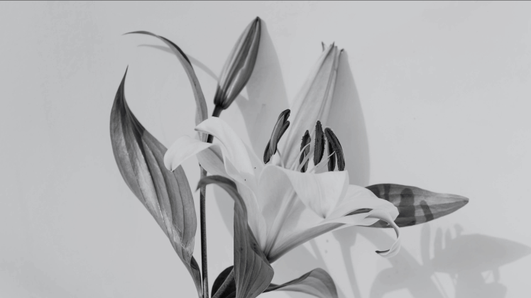 Zmarł Profesor Adam Zych | Aktualności | Uniwersytet Dolnośląski DSW we ...